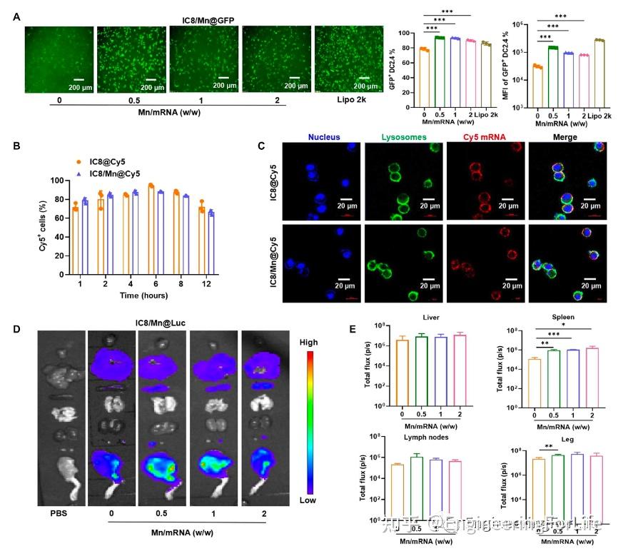 《Science子刊》：新冠mRNA疫苗研究突破！Mn基mRNA疫苗实现对新冠变异体有效防控 - 知乎