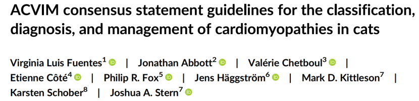 指南解读 | ACVIM 猫心肌病分类及诊断共识（上半部分） - 知乎