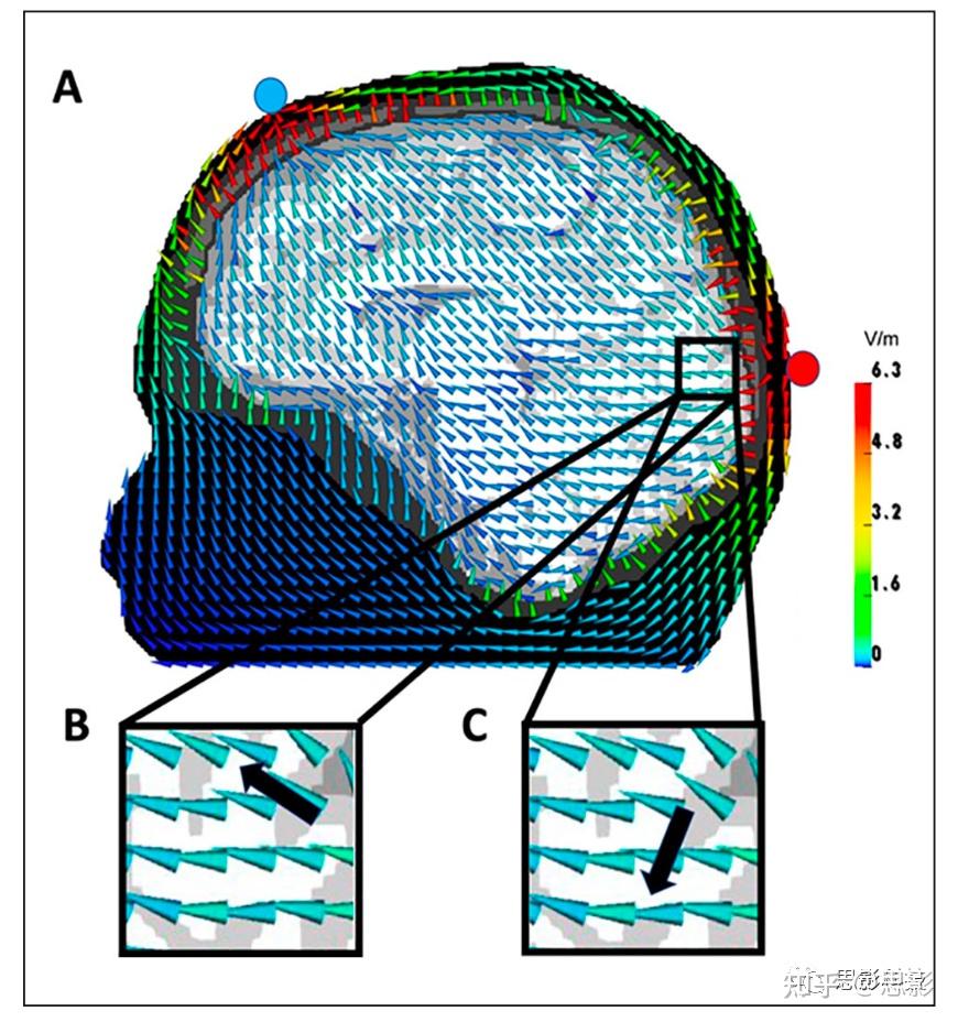 生物电磁学在人脑研究中的应用 - 知乎