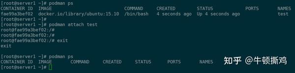 3. podman -- hello world - 知乎