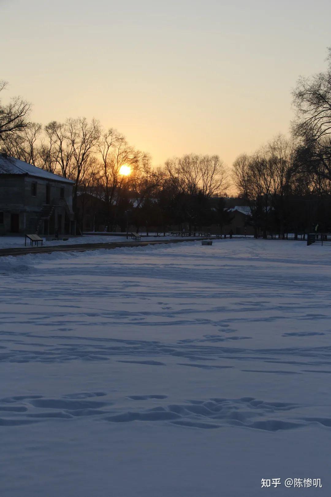 此时此刻｜在731部队遗址前 - 知乎
