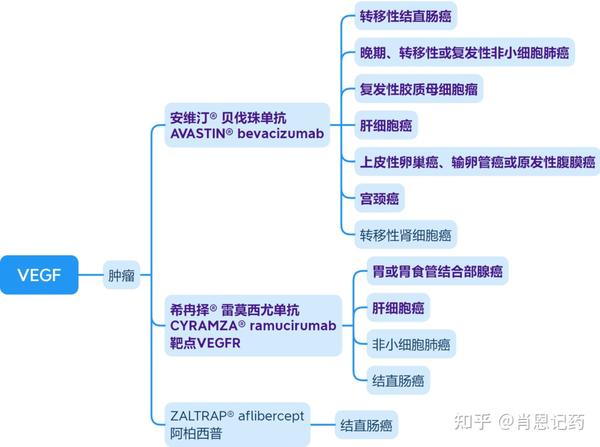 记住所有FDA生物药 | 抗肿瘤VEGFR | 贝伐珠单抗、雷莫西尤单抗、阿柏西普等 | 实体肿瘤 - 知乎