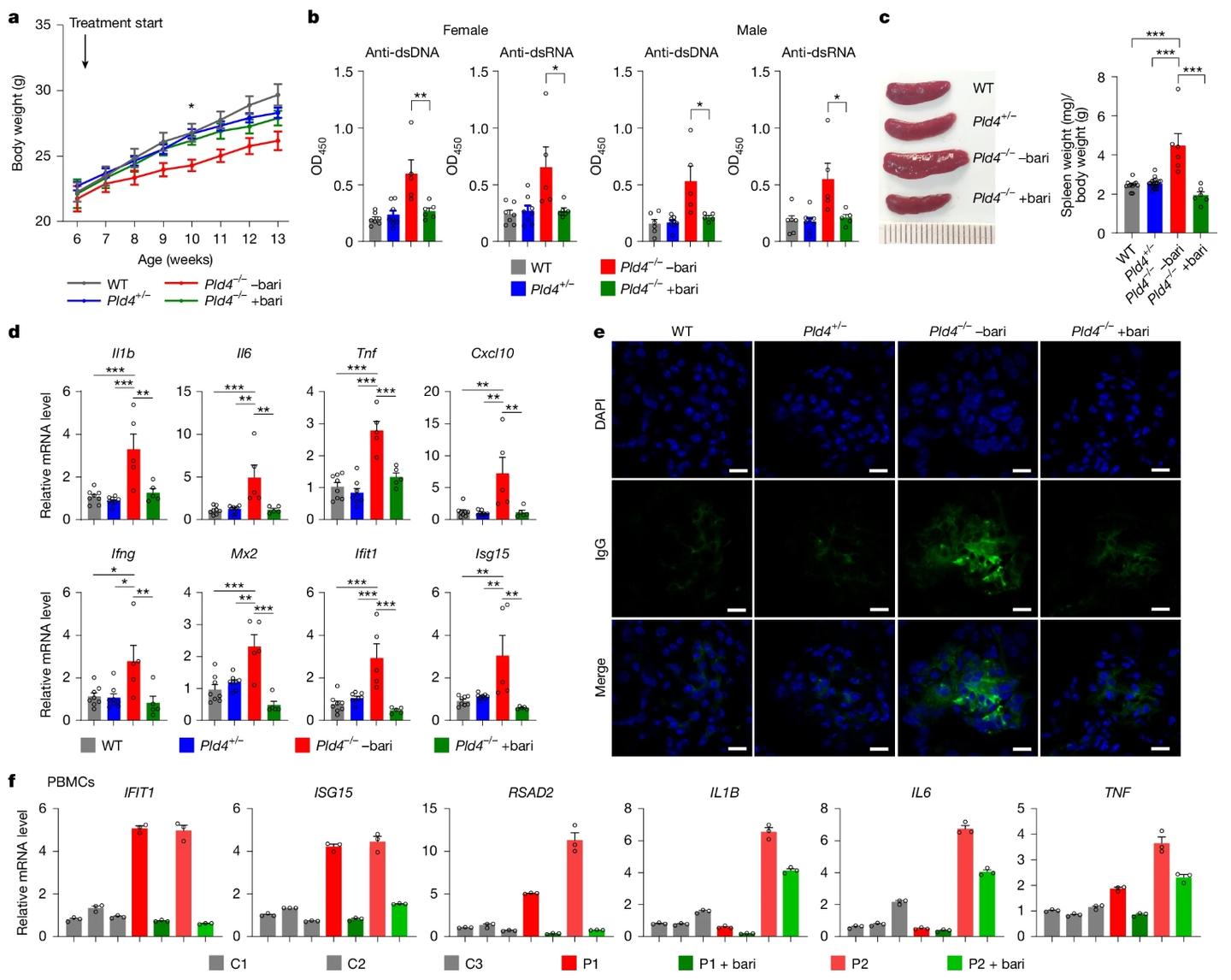 Nature | 颠覆认知！浙江大学/东部战区总医院研究团队合作锁定SLE新型致病基因：PLD4 - 知乎