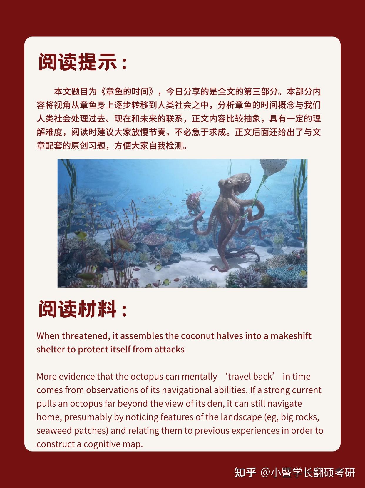 【阅读材料分享】| Octopus Time by David Borkenhagen-Ⅲ - 知乎