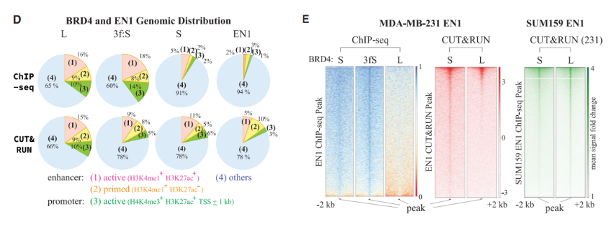 什么是ChIP 检测？ - 知乎
