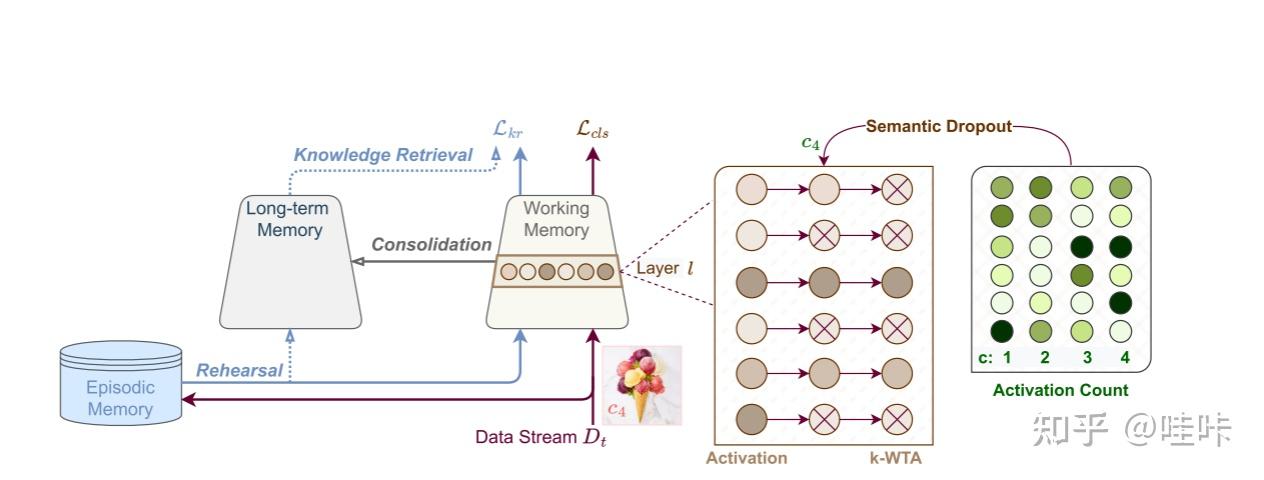 论文阅读笔记——Sparse Coding in a Dual Memory System for Lifelong Learning - 知乎