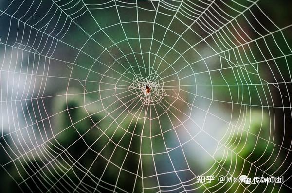 看懂 Web 进化简史：从文档互联到价值互联 - 知乎