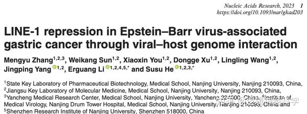 NAR｜南京大学医学院何素素等团队揭示EBV病毒-宿主基因组相互作用抑制EBV相关胃癌中逆转录转座子LINE-1表达的分子机制 - 知乎
