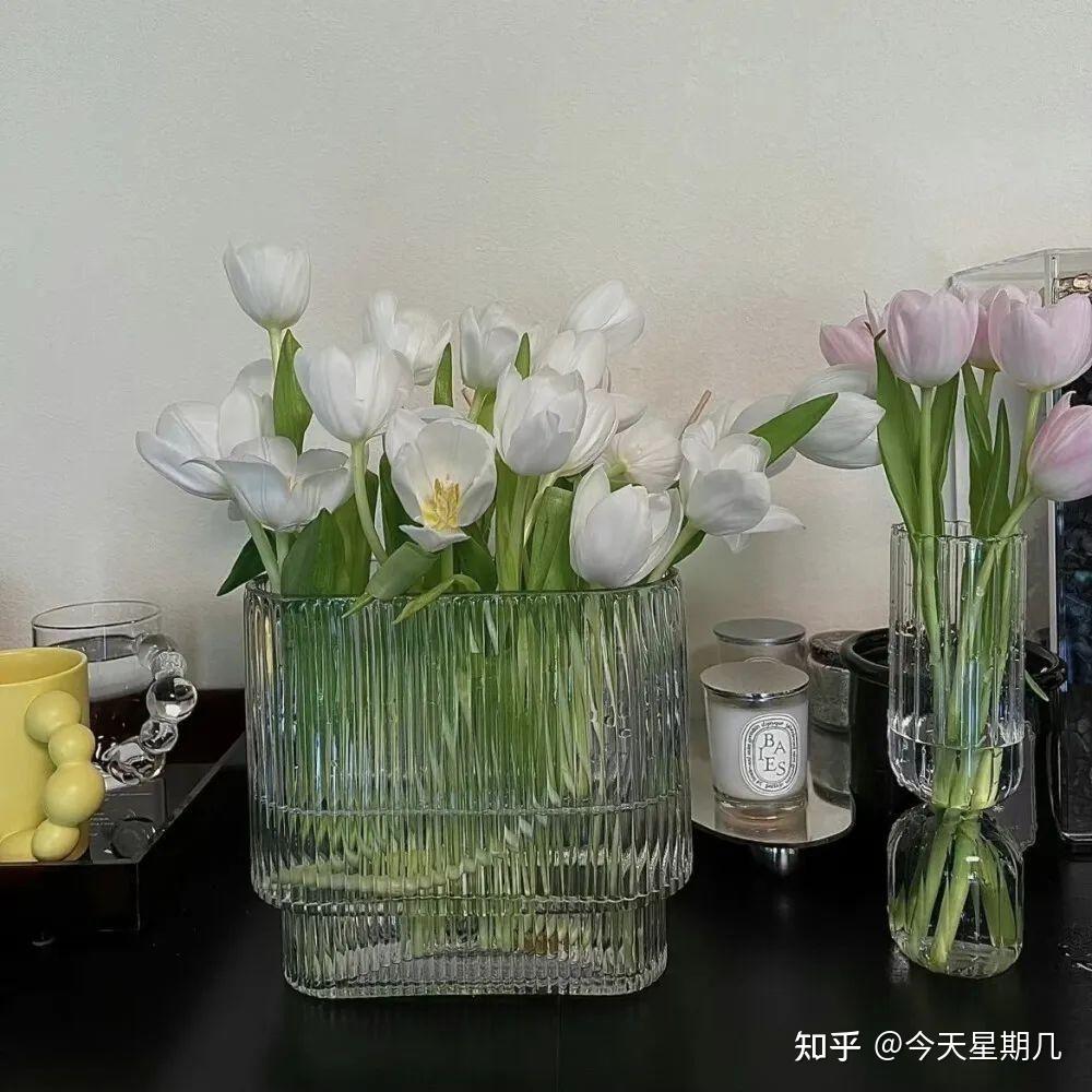 《初中必刷题》里的那些句子 知乎