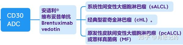 记住所有FDA生物药 | 靶向CD30 ADC | 安适利®维布妥昔单抗 | 间变性大细胞淋巴瘤、霍奇金淋巴瘤、蕈样真菌病等 - 知乎