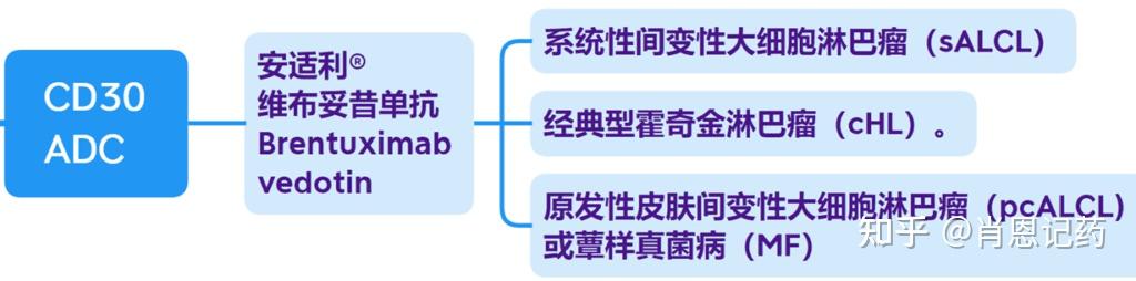 记住所有FDA生物药 | 靶向CD30 ADC | 安适利®维布妥昔单抗 | 间变性大细胞淋巴瘤、霍奇金淋巴瘤、蕈样真菌病等 - 知乎