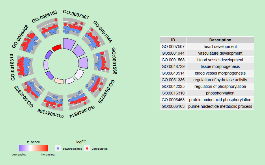 circleplot展示GO富集分析结果 - 知乎