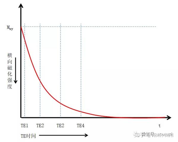磁共振成像：对PDW T1W T2W 三种加权图像的理解 - 知乎