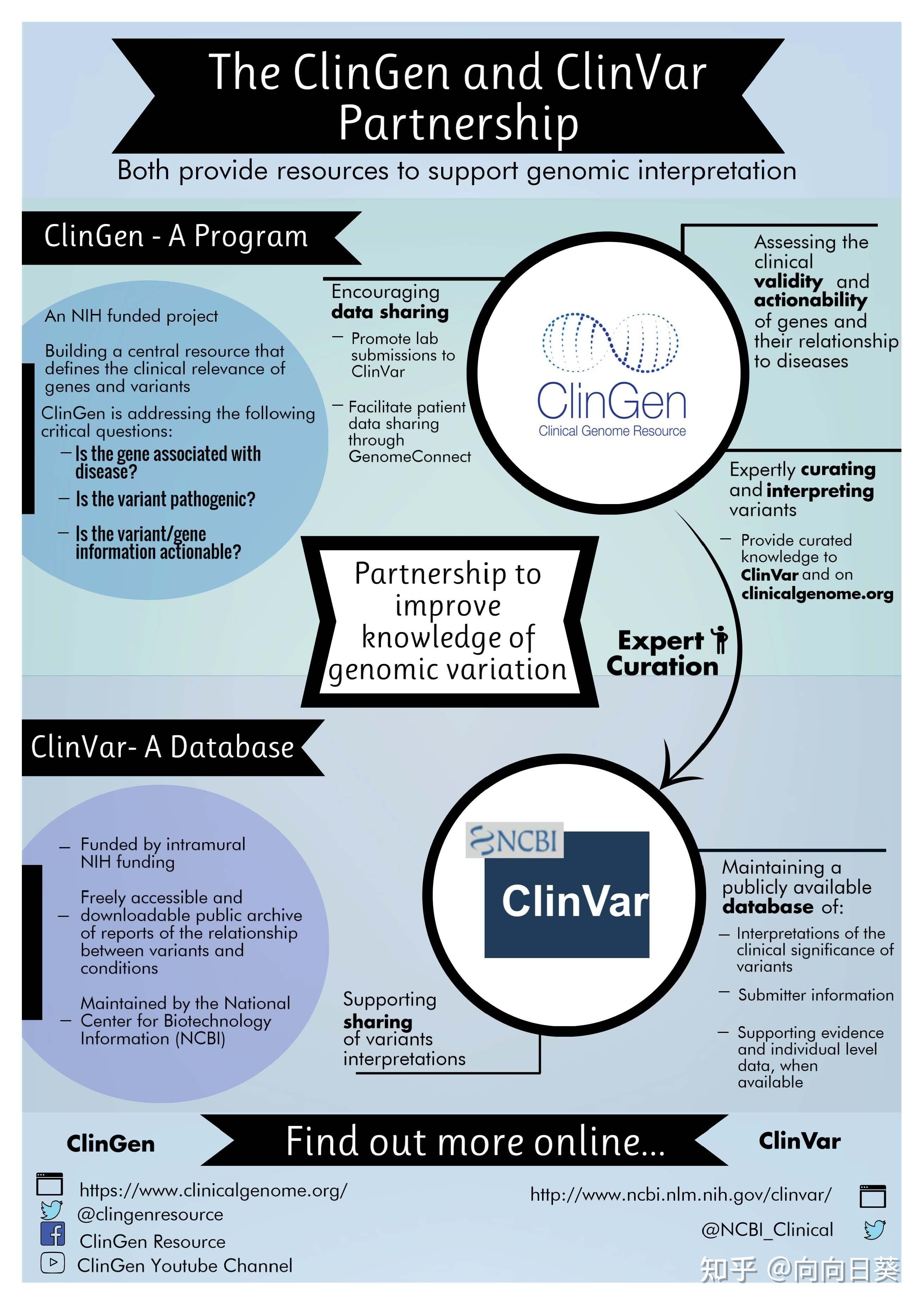 ClinGen/ClinVar数据库介绍 - 知乎
