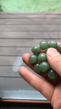 小学生开始盘手串了？手法让成年人自叹不如！盘玉六式知几种？ - 知乎