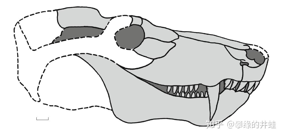 【地球演义】百兽图7：赶狻猊 - 知乎