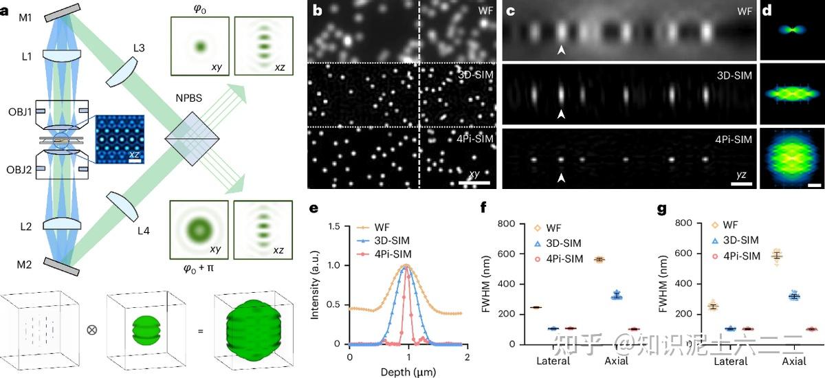 细胞成像的超级“放大镜”——4Pi-SIM - 知乎