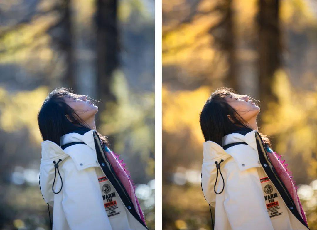 相机的白平衡是什么，如何正确调整相机的白平衡？ - 知乎