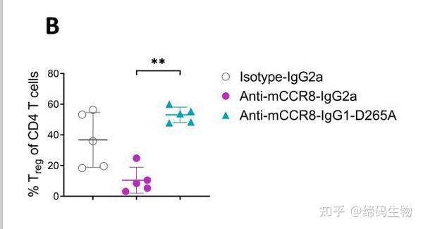 肿瘤免疫靶点｜CCR8 - 知乎