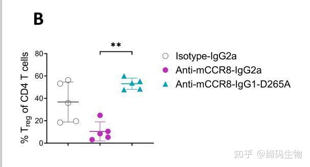 肿瘤免疫靶点｜CCR8 - 知乎