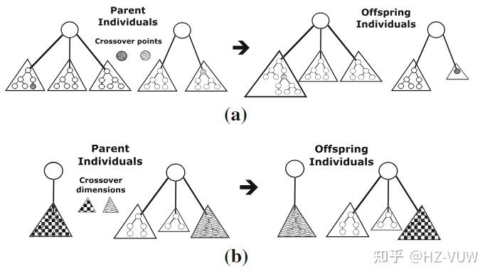 【论文解析】Memetic Computing 2018 M3GP：基于多树GP的特征构造算法 - 知乎
