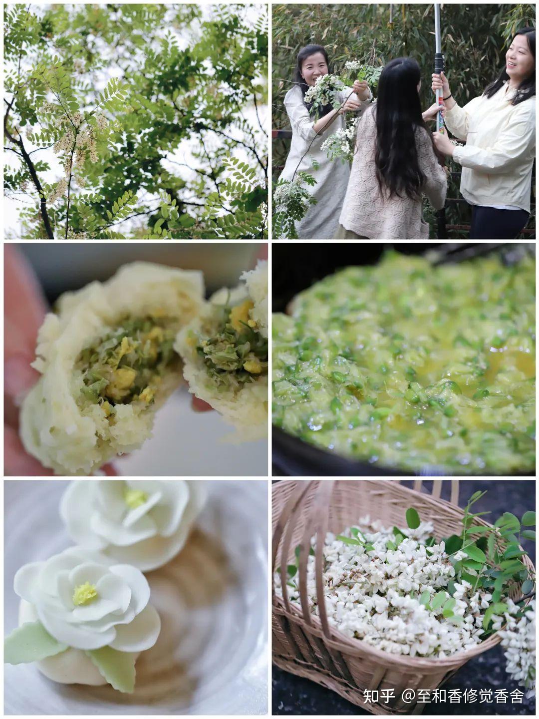 课程｜一炉香中琉璃净，芳泽浸春云 - 知乎