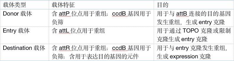 分子克隆——Gateway 克隆 - 知乎