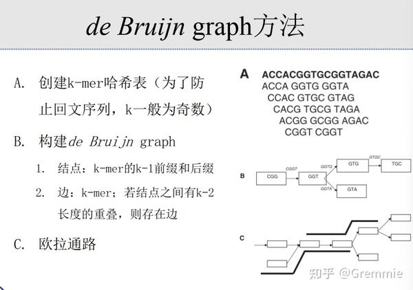 基因组装的概念/算法(OLC,K-mer)详解 - 知乎