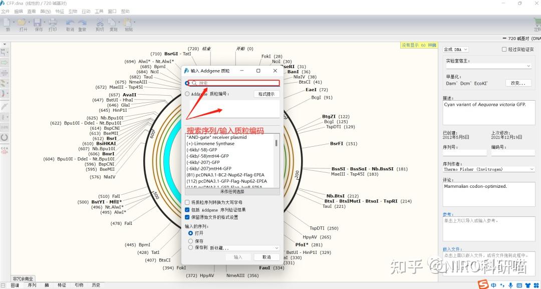 超详细的保姆级SnapGene软件应用汇总，建议收藏备用！！！ - 知乎