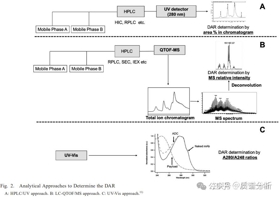ADC药物DAR值的测定方法 - 知乎