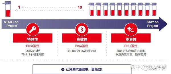 兔单b细胞 抗独特型抗体开发 知乎