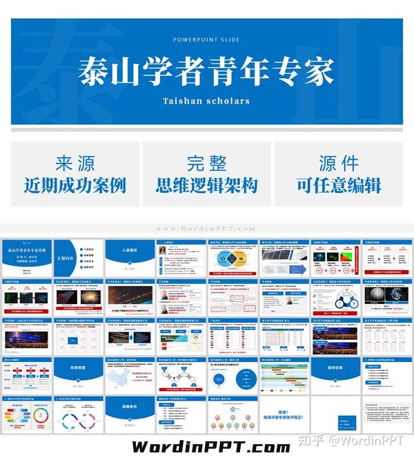 泰山学者答辩PPT设计案例_泰山学者青年专家答辩ppt模板 - 知乎