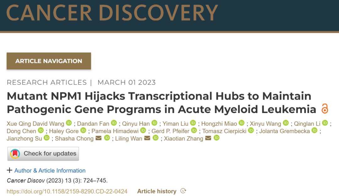 发现 NPM1 突变蛋白诱导急性髓系白血病新机制，计划开发小分子靶向药物，有望实现精准治疗｜专访德克萨斯大学张笑天 - 知乎