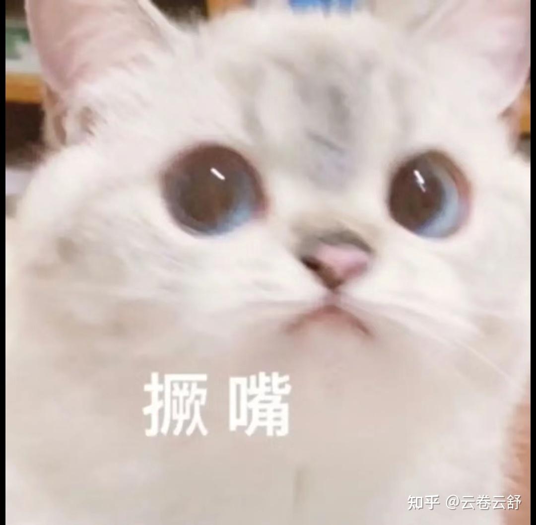 表情包 知乎