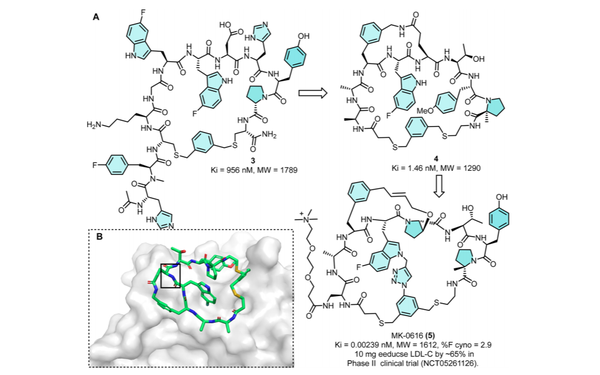 MSD口服降脂环肽进入Ⅲ期临床，环肽已成下一风口 - 知乎