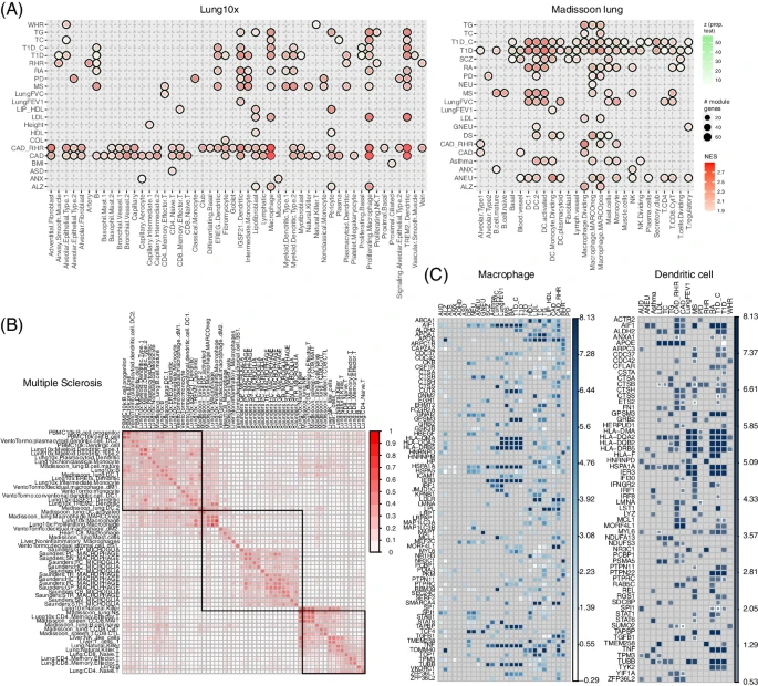 Genome Biol | scRNA-seq辅助分析新方法scGWAS，揭示性状-细胞类型关联图谱 - 知乎