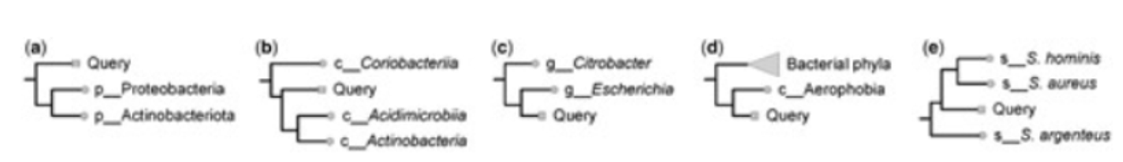 工具篇|宏基因组MAG-物种注释最佳策略 - 知乎