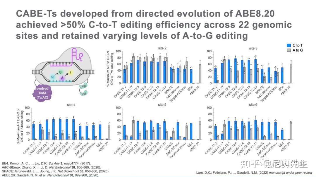 CBE-T：TadA介导的下一代CBE编辑器 - 知乎