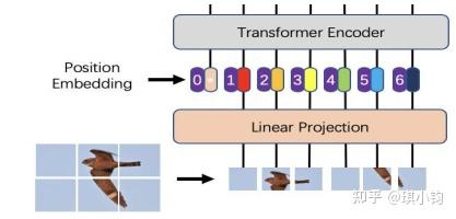 《TransFG： A Transformer Architecture for Fine-Grained Recognition》论文详解 - 知乎