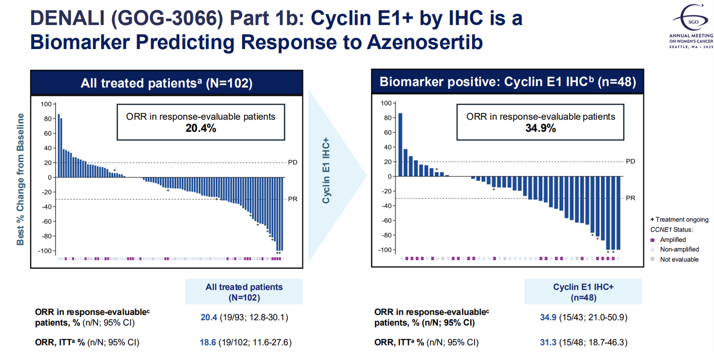 SGO2025：WEE1抑制剂Azenosertib在CCNE1阳性铂耐药卵巢癌中的疗效 - 知乎