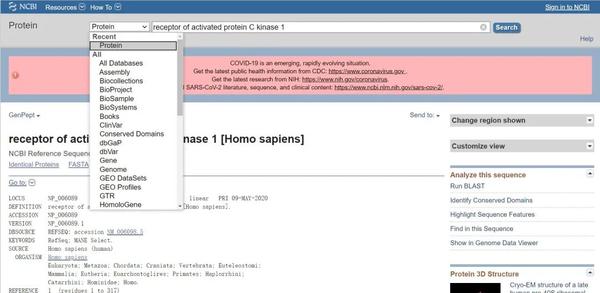 SnapGene Viewer软件序列可视化操作 - 知乎