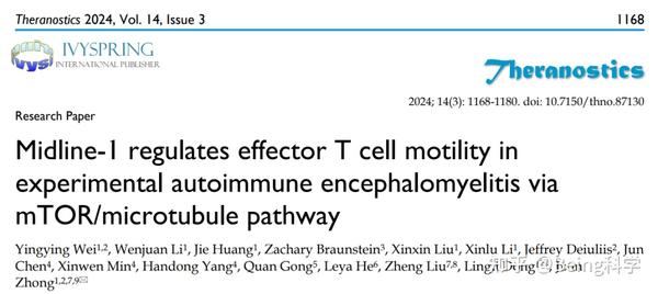 Theranostics︱华中科技大学课题组揭示自身反应性T细胞迁移机制，Mid1是关键调控因子 - 知乎