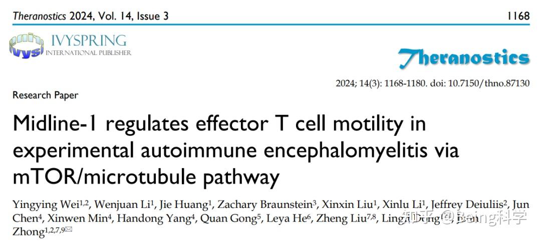 Theranostics︱华中科技大学课题组揭示自身反应性T细胞迁移机制，Mid1是关键调控因子 - 知乎