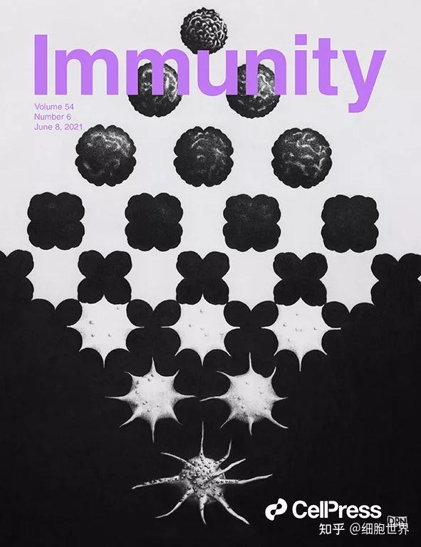 2021年6月，这些研究登上Cell Press期刊封面！ - 知乎