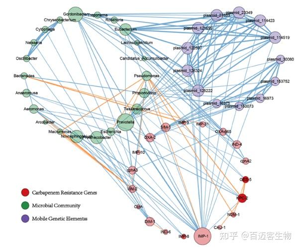 项目文章| 宏基因组测序首次全面表征细胞外和细胞内碳青霉烯类耐药基因 - 知乎