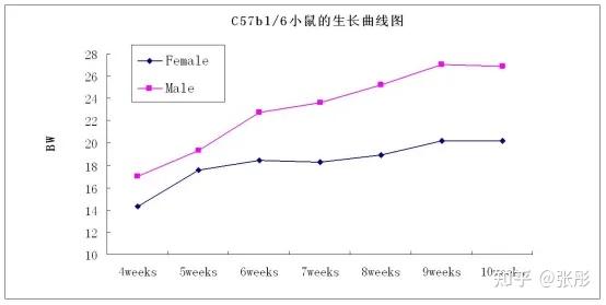 C57BL/6小鼠百科资料整理｜最全C57小鼠知识资料 - 知乎