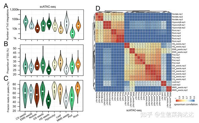 A spatially resolved multi-omic single-cell atlas of soybean development - 知乎