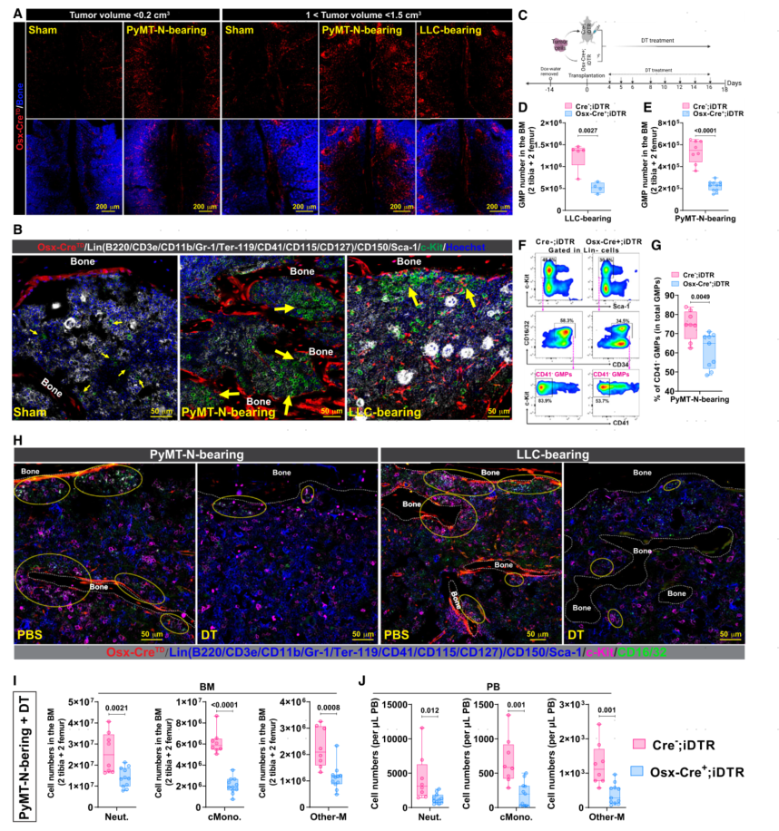 单细胞技术揭示肿瘤诱导骨髓造成的全身免疫抑制机理 - 知乎