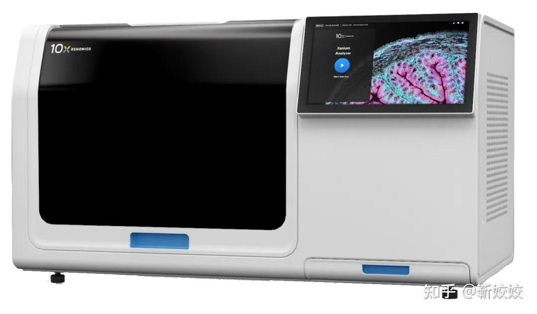 突破！10x Xenium技术基因原位检测新高度空间生物学文章大爆发？ - 知乎