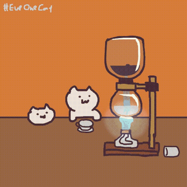 魔性猫猫everyday one cat 表情包 - 知乎